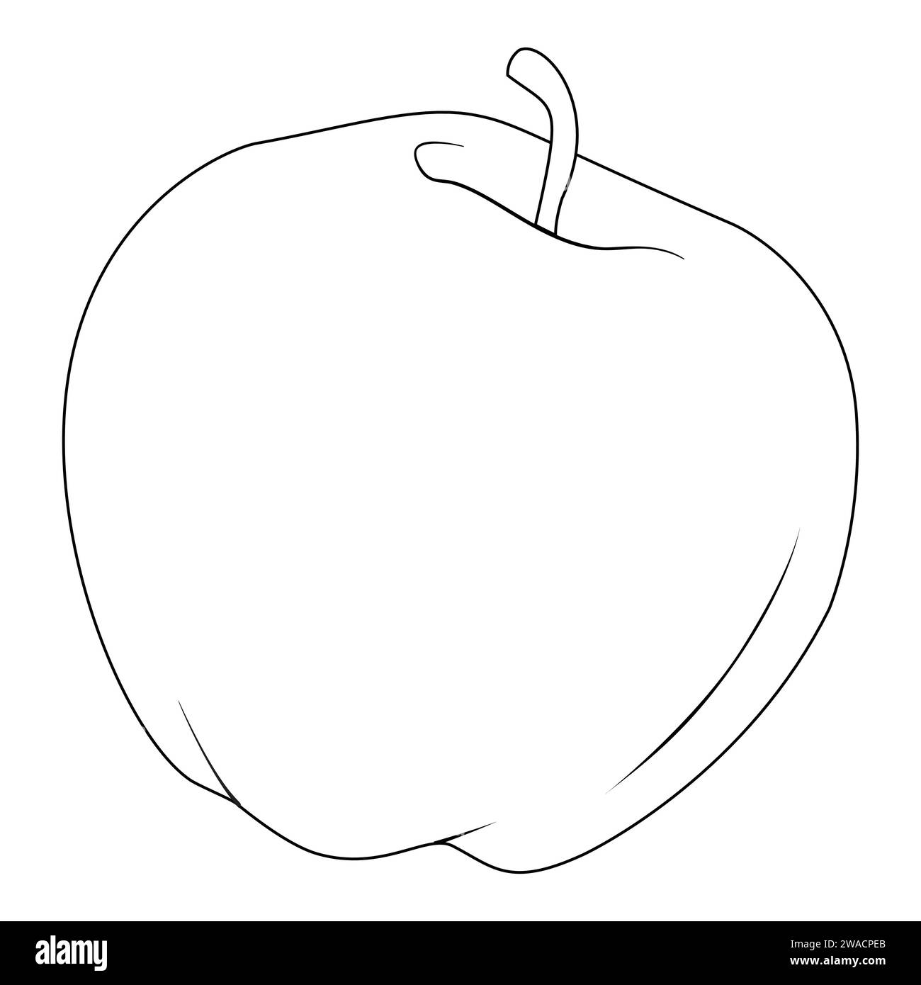 Apples line drawn on a white background. Vector sketch of the fruit ...