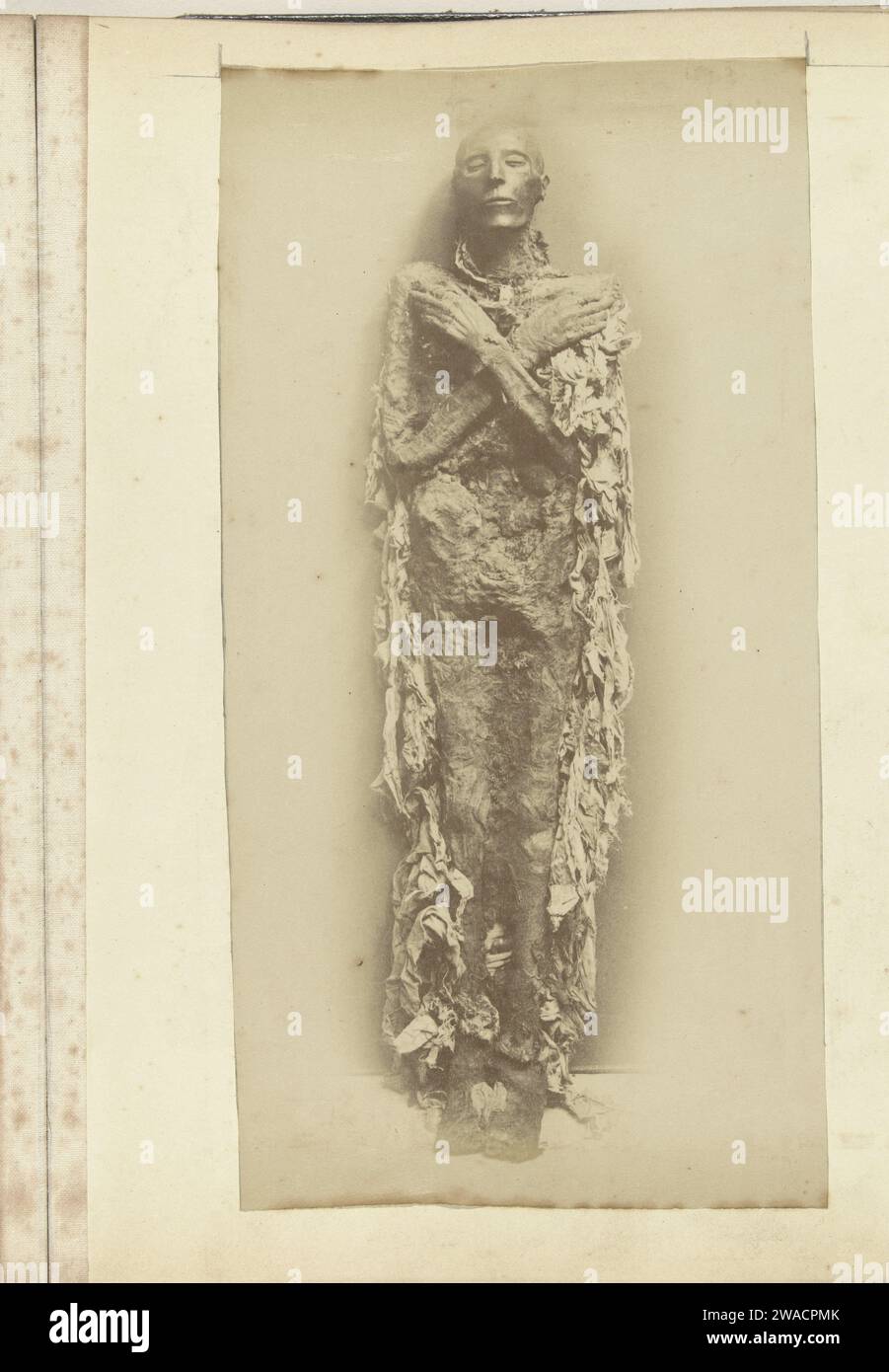 Mummified body of Pharaoh Seti I, 1860 - 1900 photograph This photo is ...