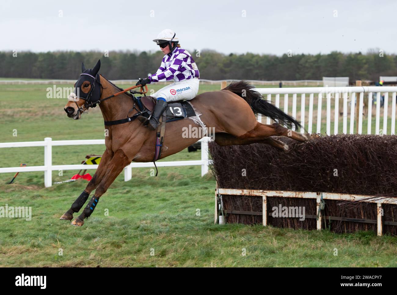 Viroflay and jockey Miss Olive Nicholls win at Larkhill Racecourse ...