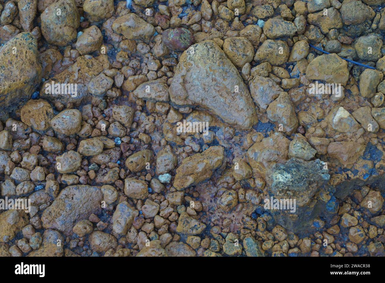 Brownish yellow hi-res stock photography and images - Alamy