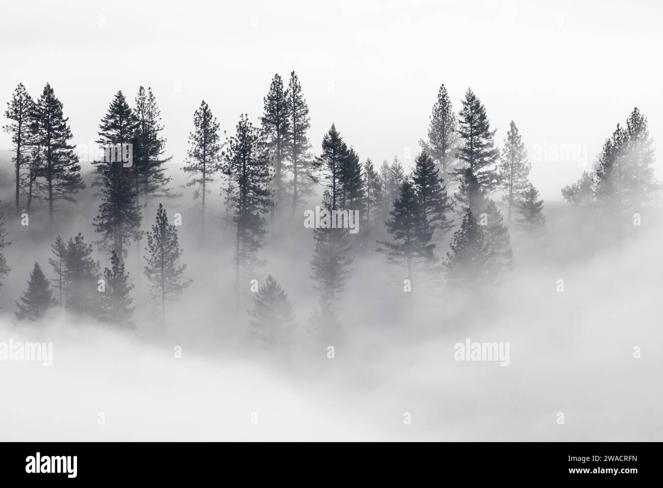 Blue mountains oregon hi-res stock photography and images - Alamy