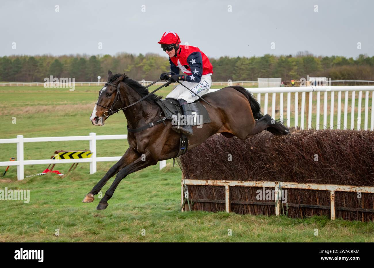 Grace A Vous Enki and jockey James King win at Larkhill Racecourse ...