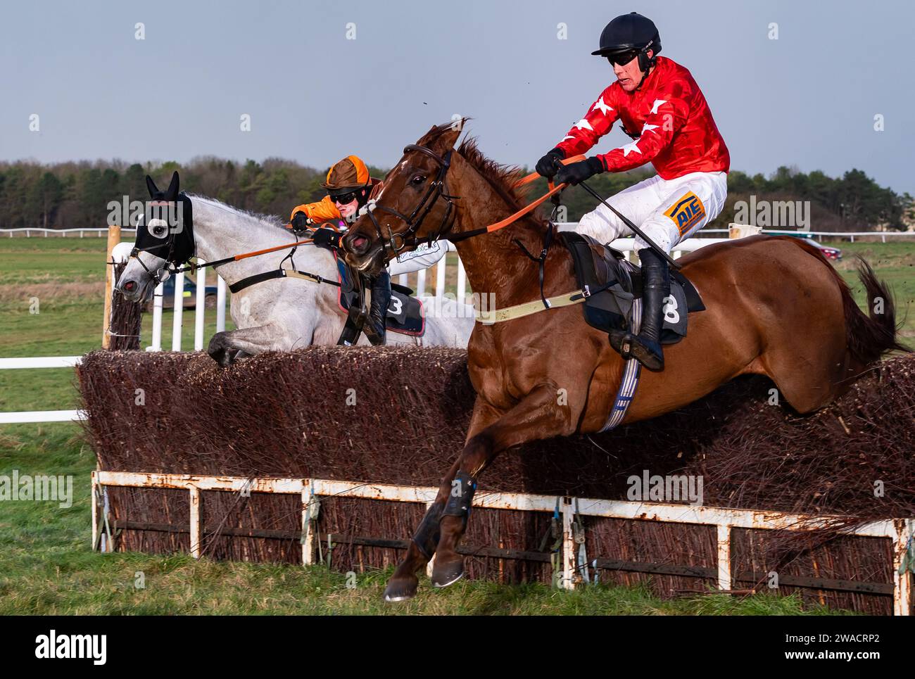 Horizon dAinay and jockey Toby McCain-Mitchell win the Alec Jarrett ...