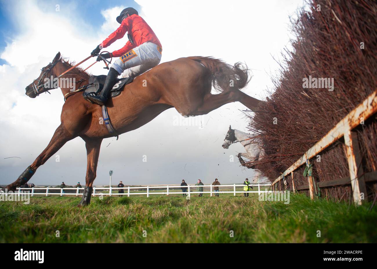 Horizon dAinay and jockey Toby McCain-Mitchell win the Alec Jarrett ...