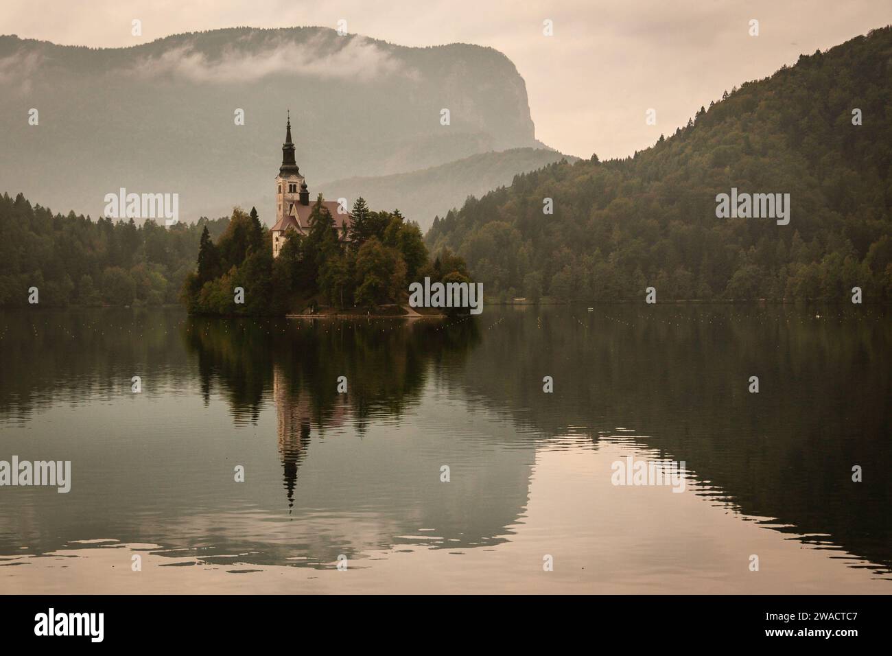Metropolitan panorama, bustling and vibrant Stock Photo - Alamy