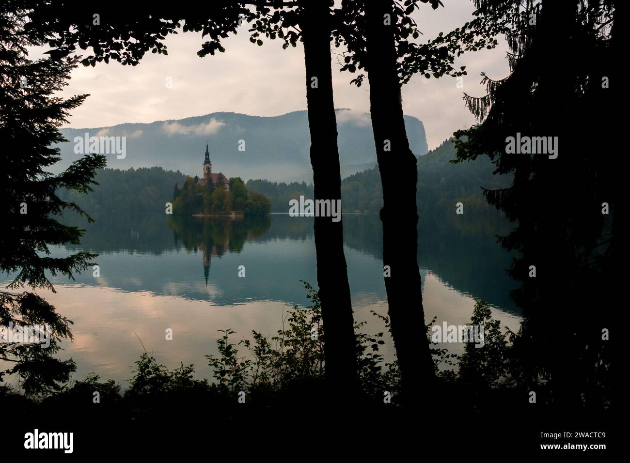 Metropolitan panorama, bustling and vibrant Stock Photo - Alamy