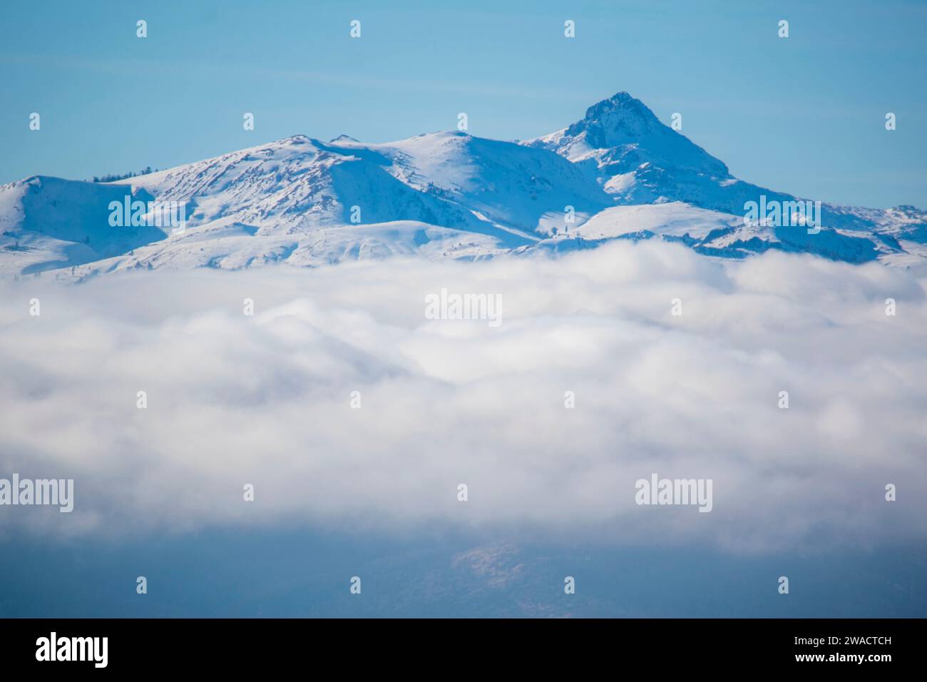 Monitor Pass provides excellent views of the surrounding Sierra Nevada ...