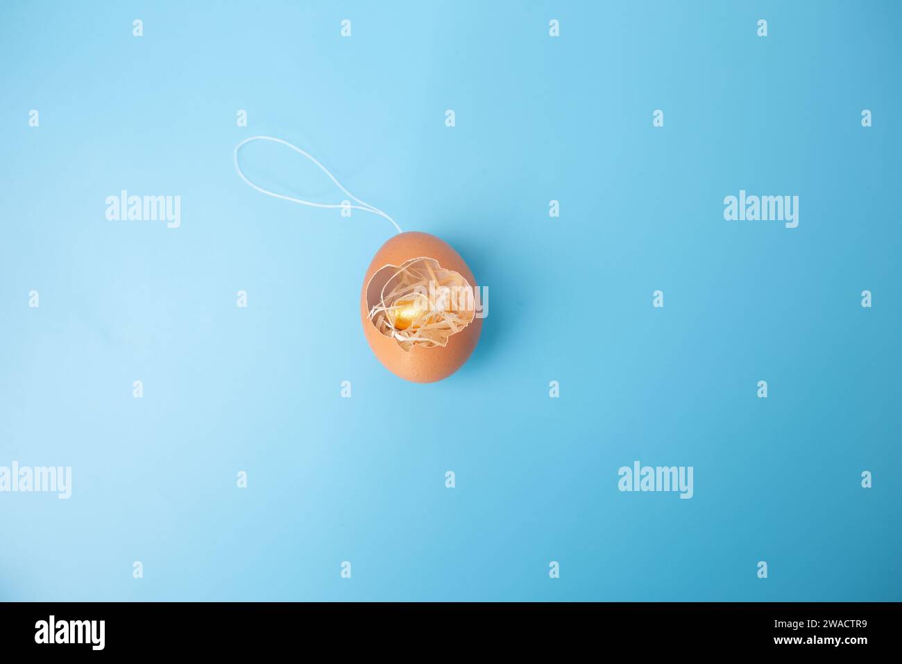 Easter home decor craft concept, golden egg in nest inside egg shell ...