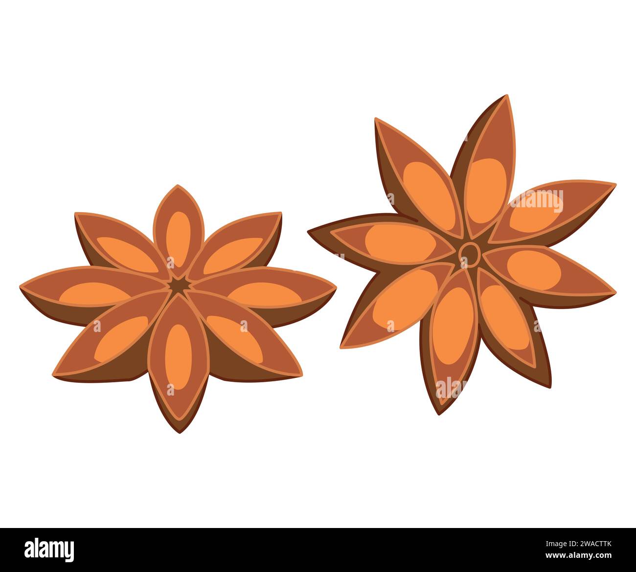 Star anise on white background. Culinary ingredient for baking and ...