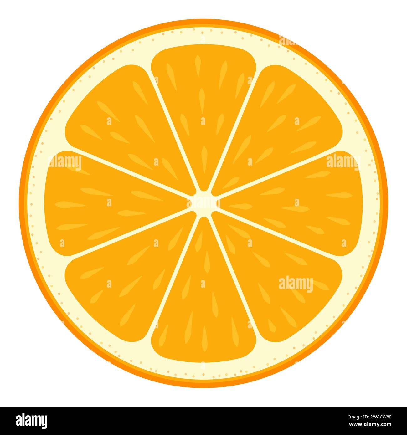 Orange slice. Citrus slice. Isolated on white background. Vector ...