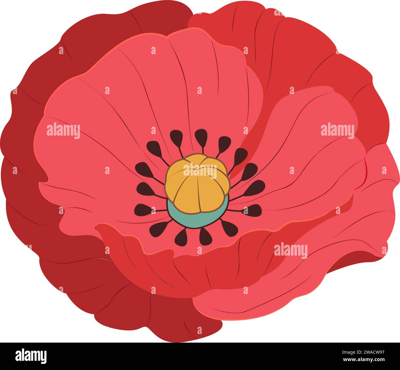 Poppy flower. Summer flowers. Vector red poppies isolated. Vector illustration Stock Vector ...