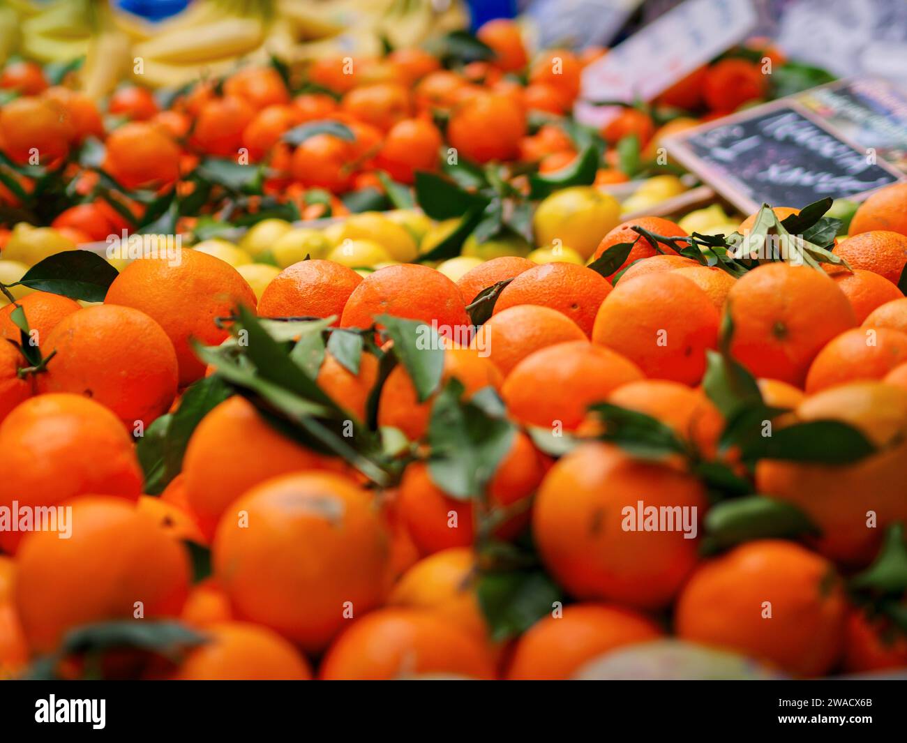 Group of orange fruits close-up in street market stall. High quality ...