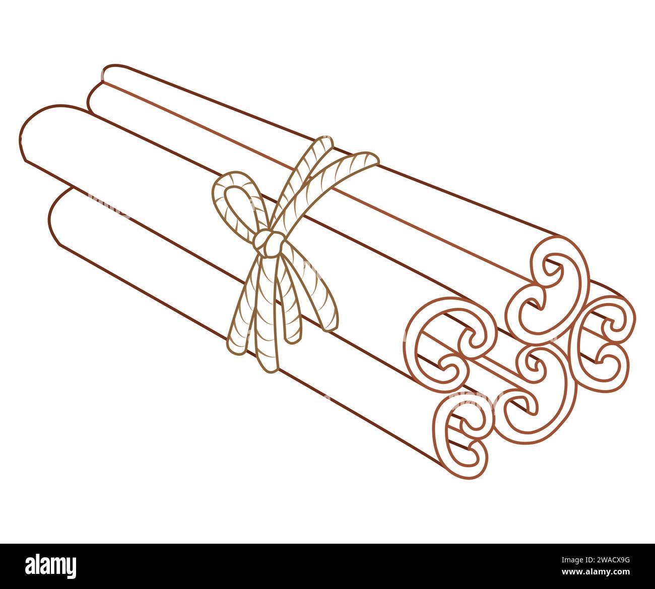 Decorative composition with cinnamon sticks isolated on white. Spice ...