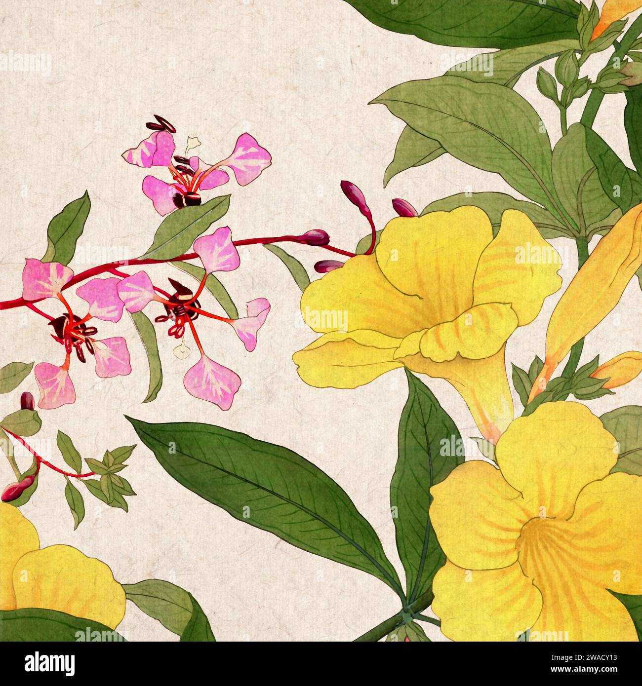 Digital floral design featuring a lively color palette on textured ...