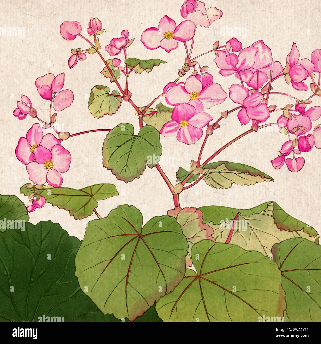 Digital floral design featuring a lively color palette on textured ...