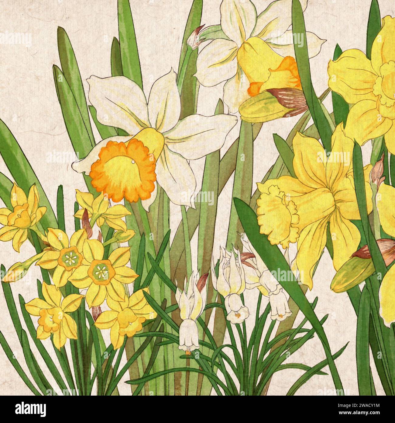 Digital floral design featuring a lively color palette on textured ...