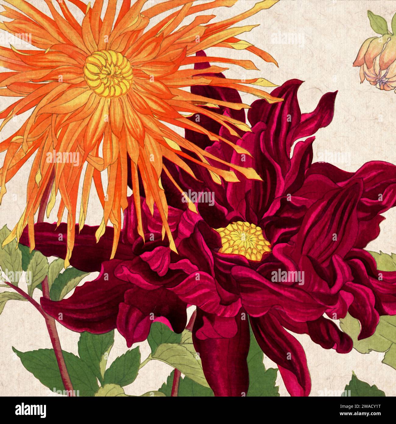 Digital floral design featuring a lively color palette on textured ...