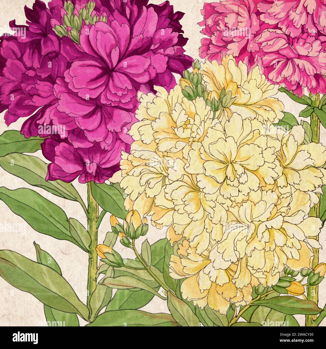 Digital floral design featuring a lively color palette on textured ...