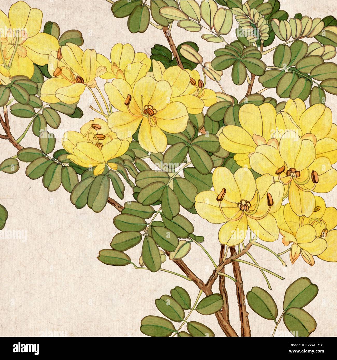 Digital floral design featuring a lively color palette on textured ...