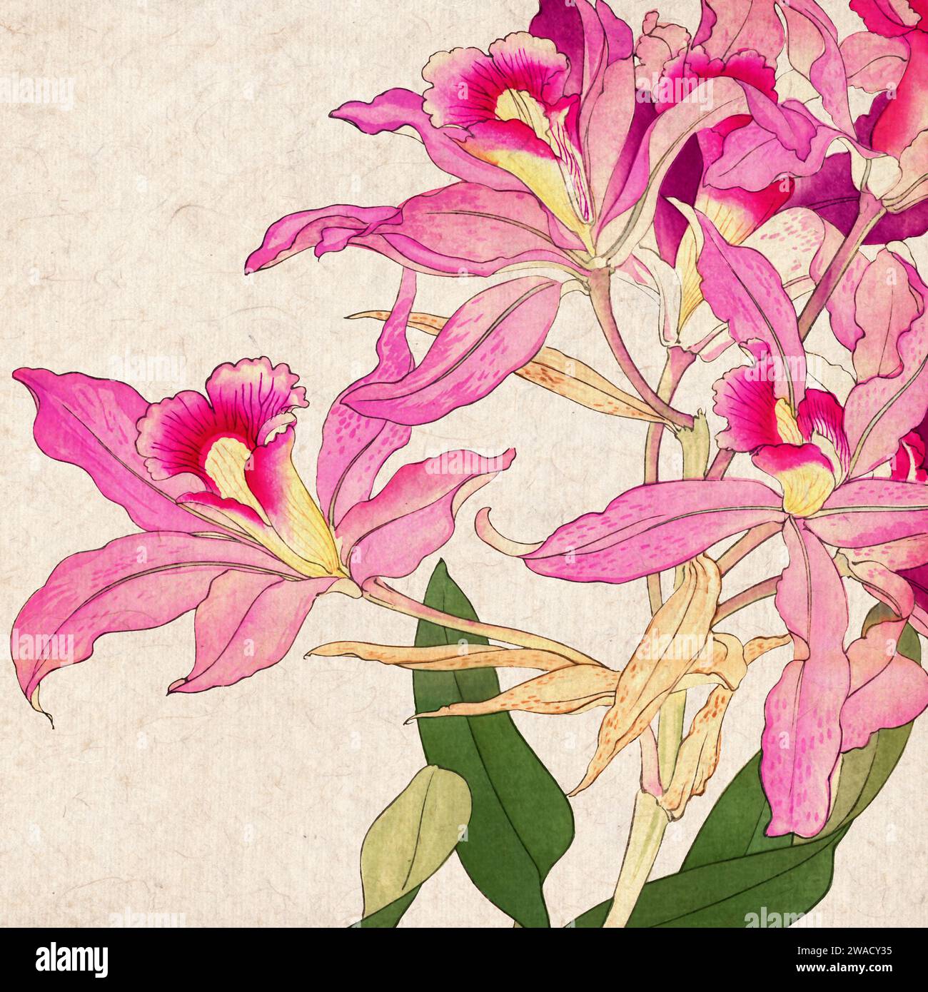 Digital floral design featuring a lively color palette on textured ...