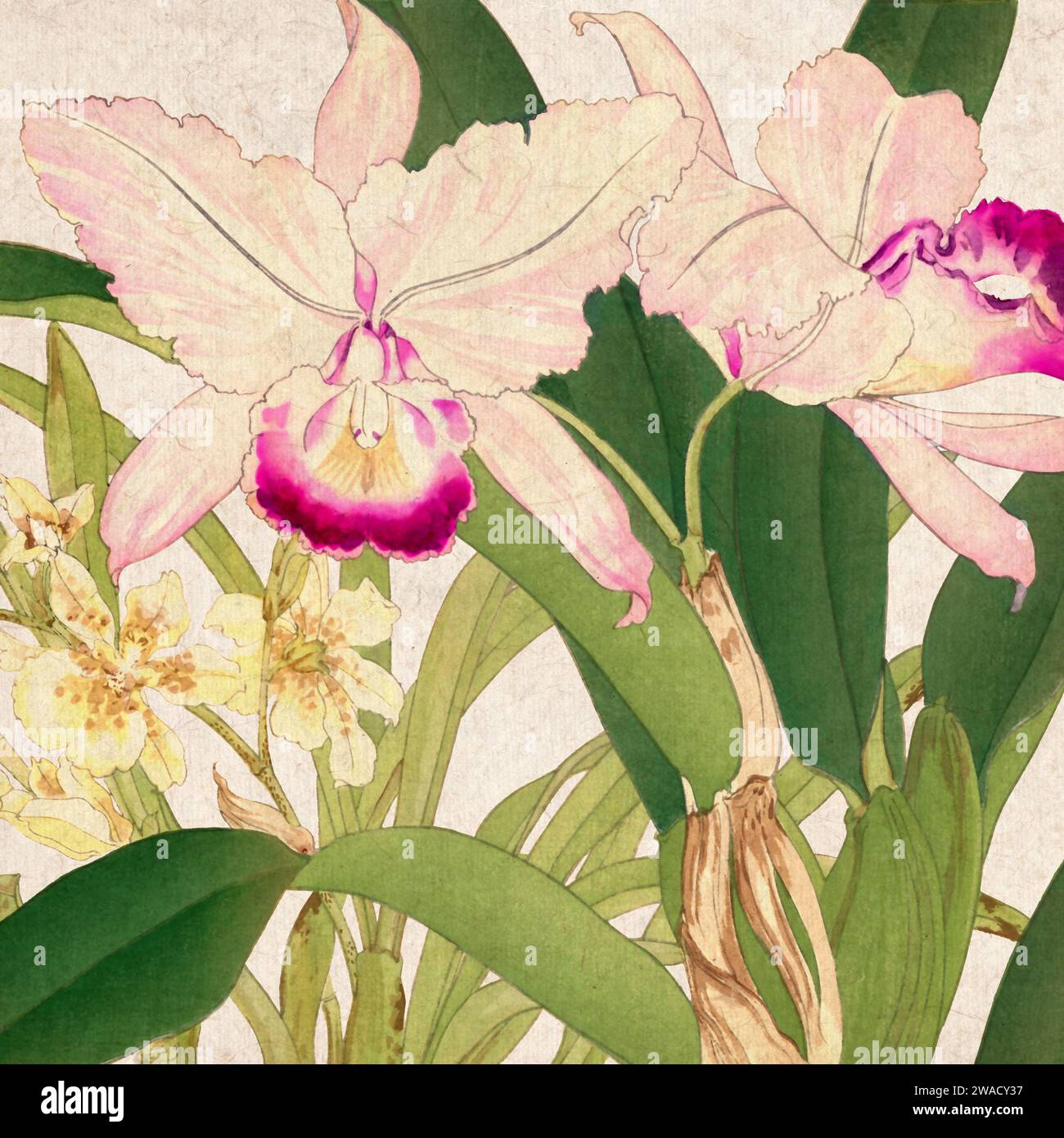 Digital floral design featuring a lively color palette on textured ...
