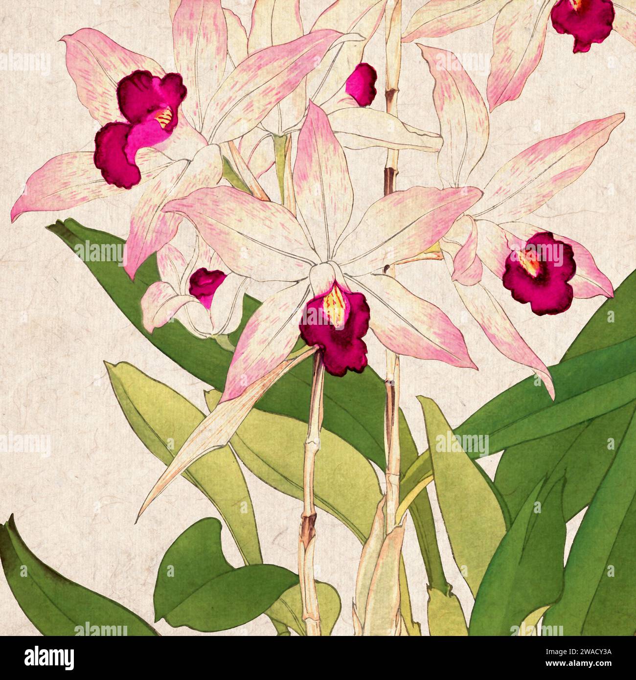 Digital floral design featuring a lively color palette on textured ...