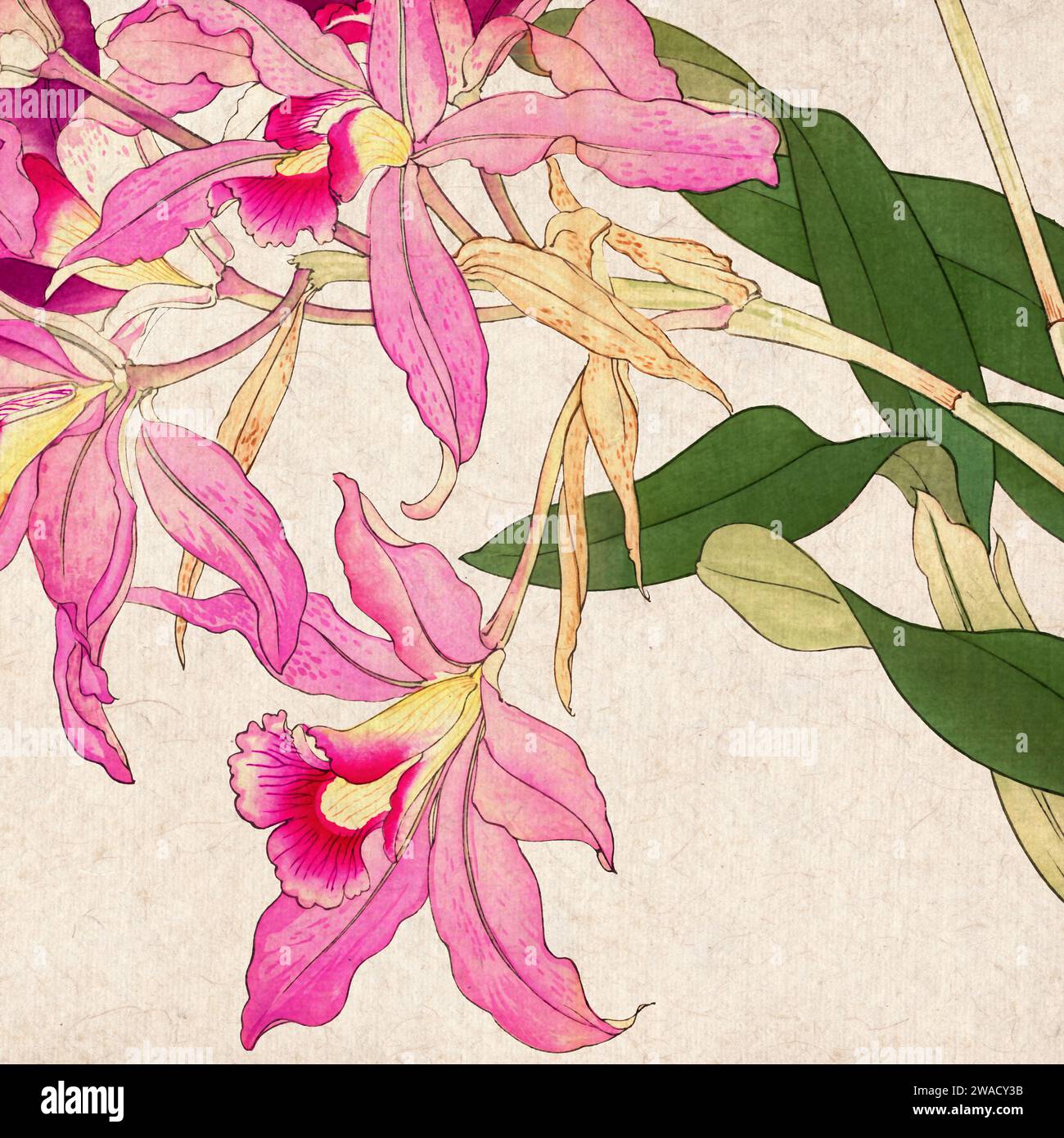 Digital floral design featuring a lively color palette on textured ...