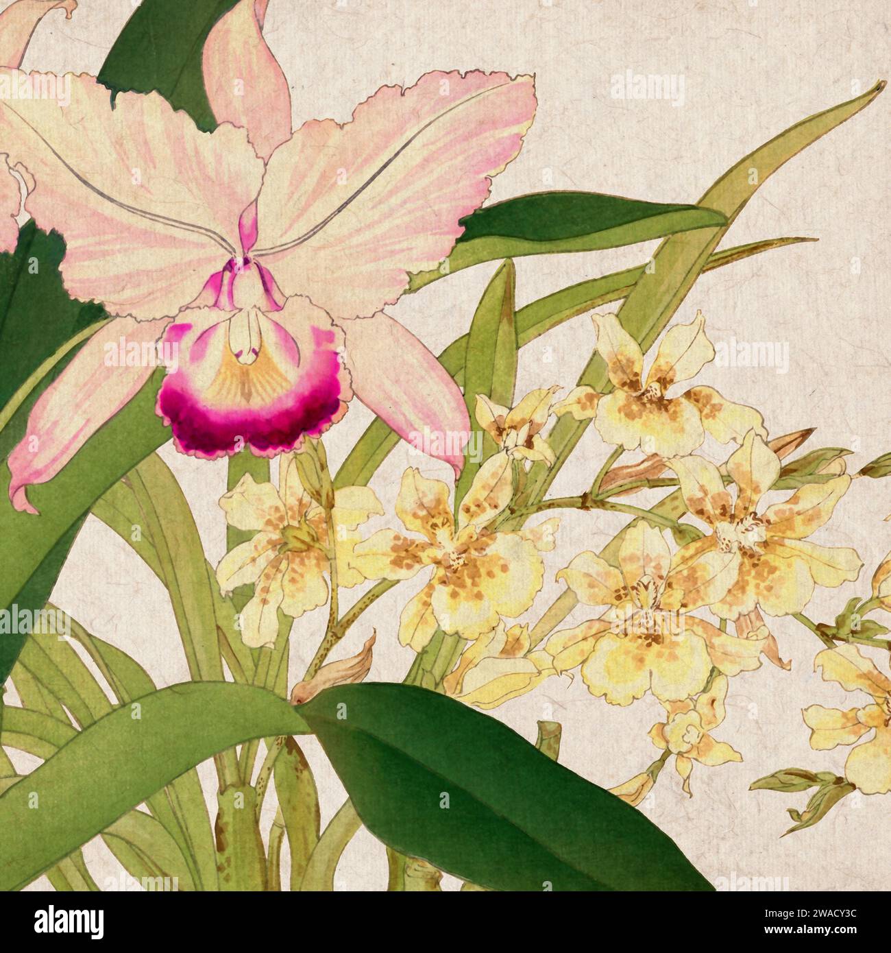 Digital floral design featuring a lively color palette on textured ...