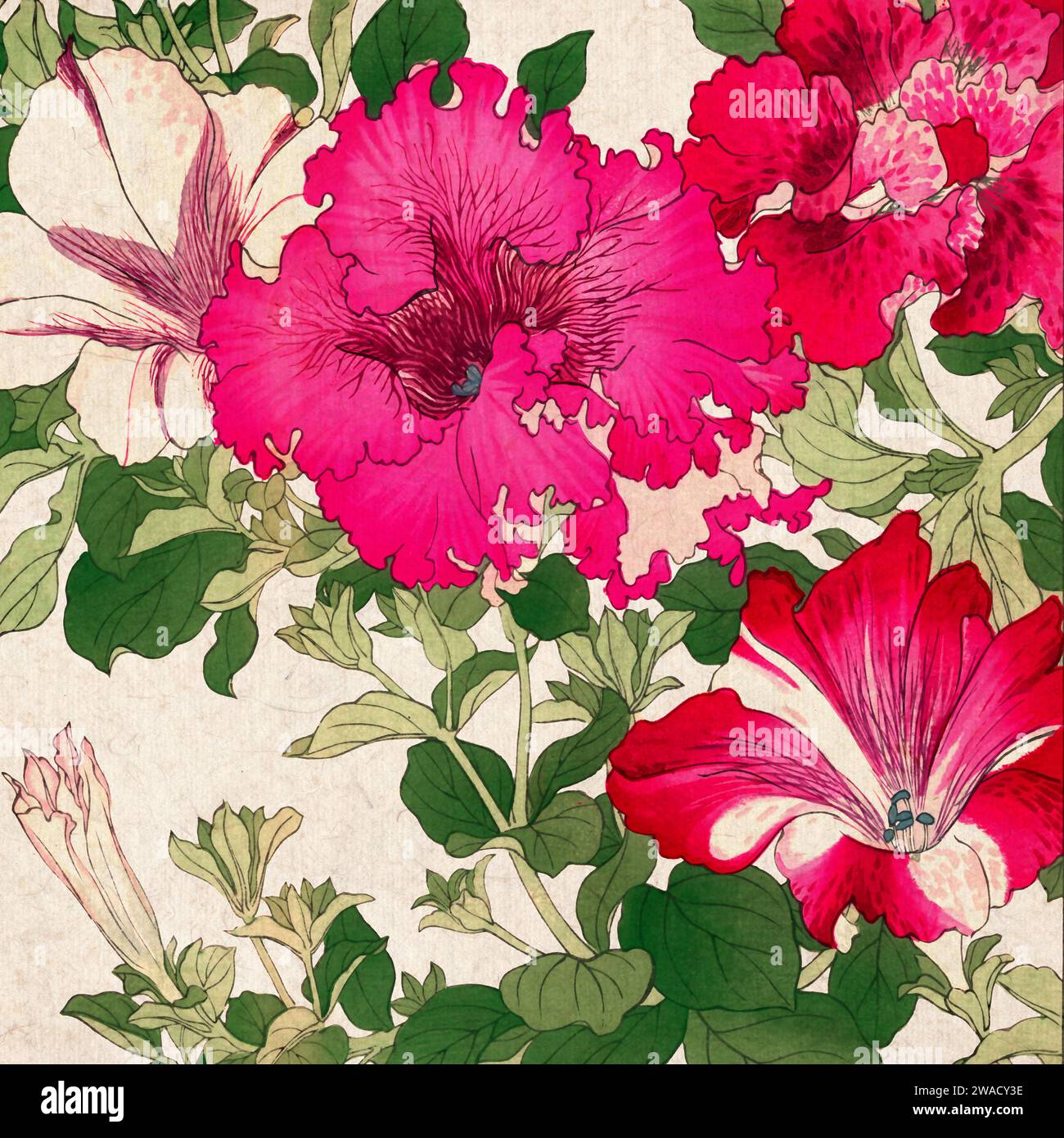 Digital floral design featuring a lively color palette on textured ...