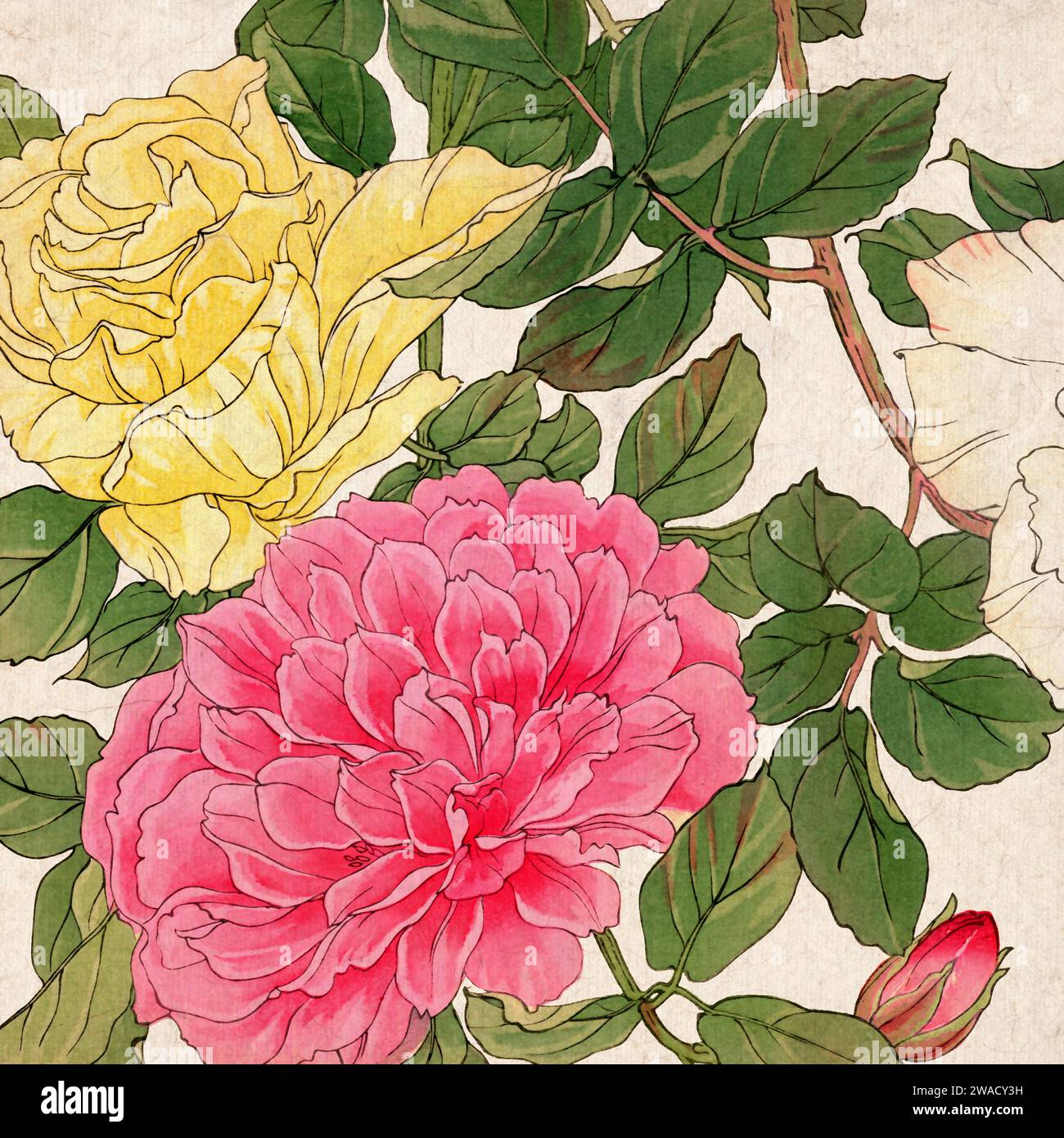 Digital floral design featuring a lively color palette on textured ...