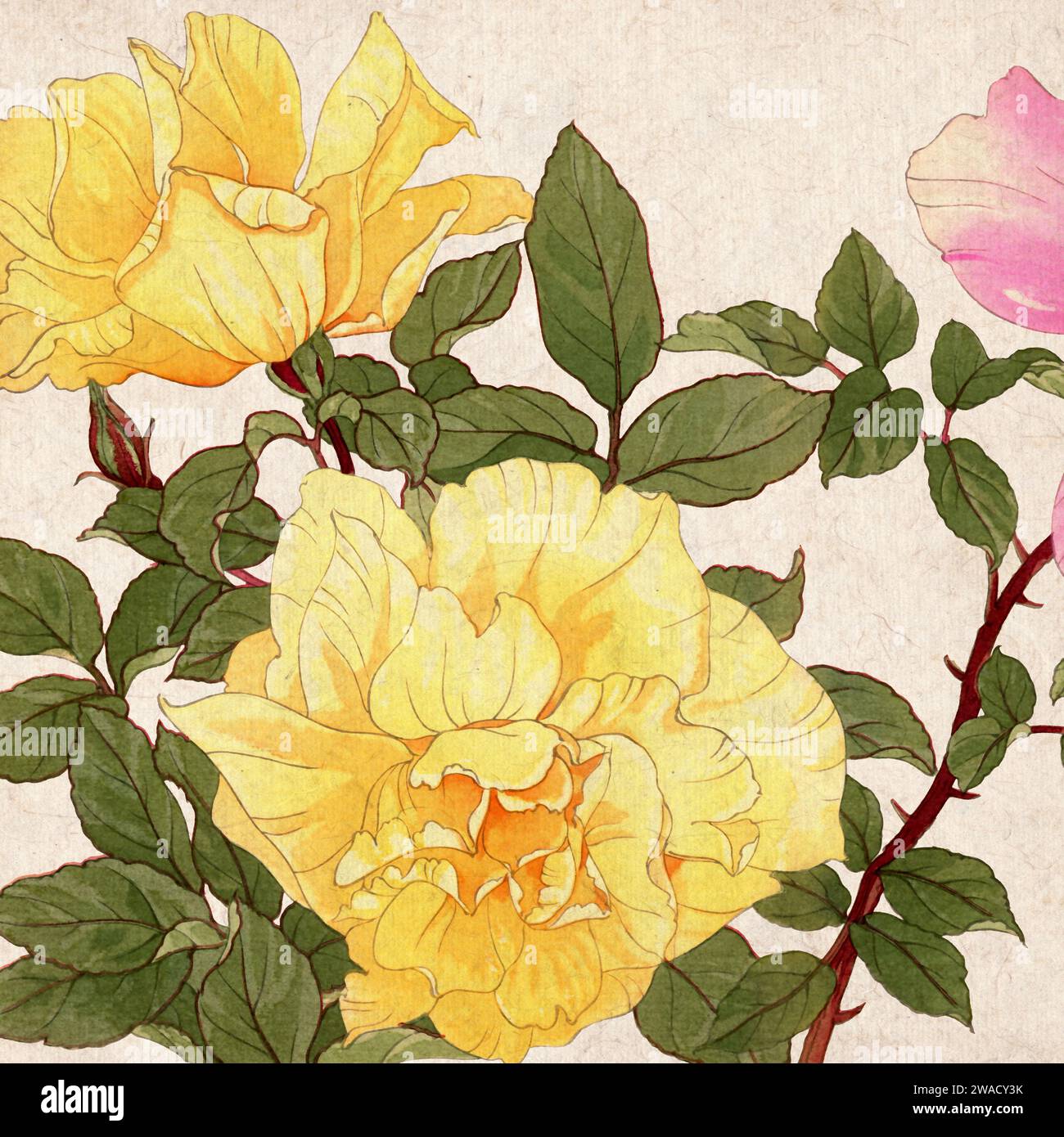 Digital floral design featuring a lively color palette on textured ...