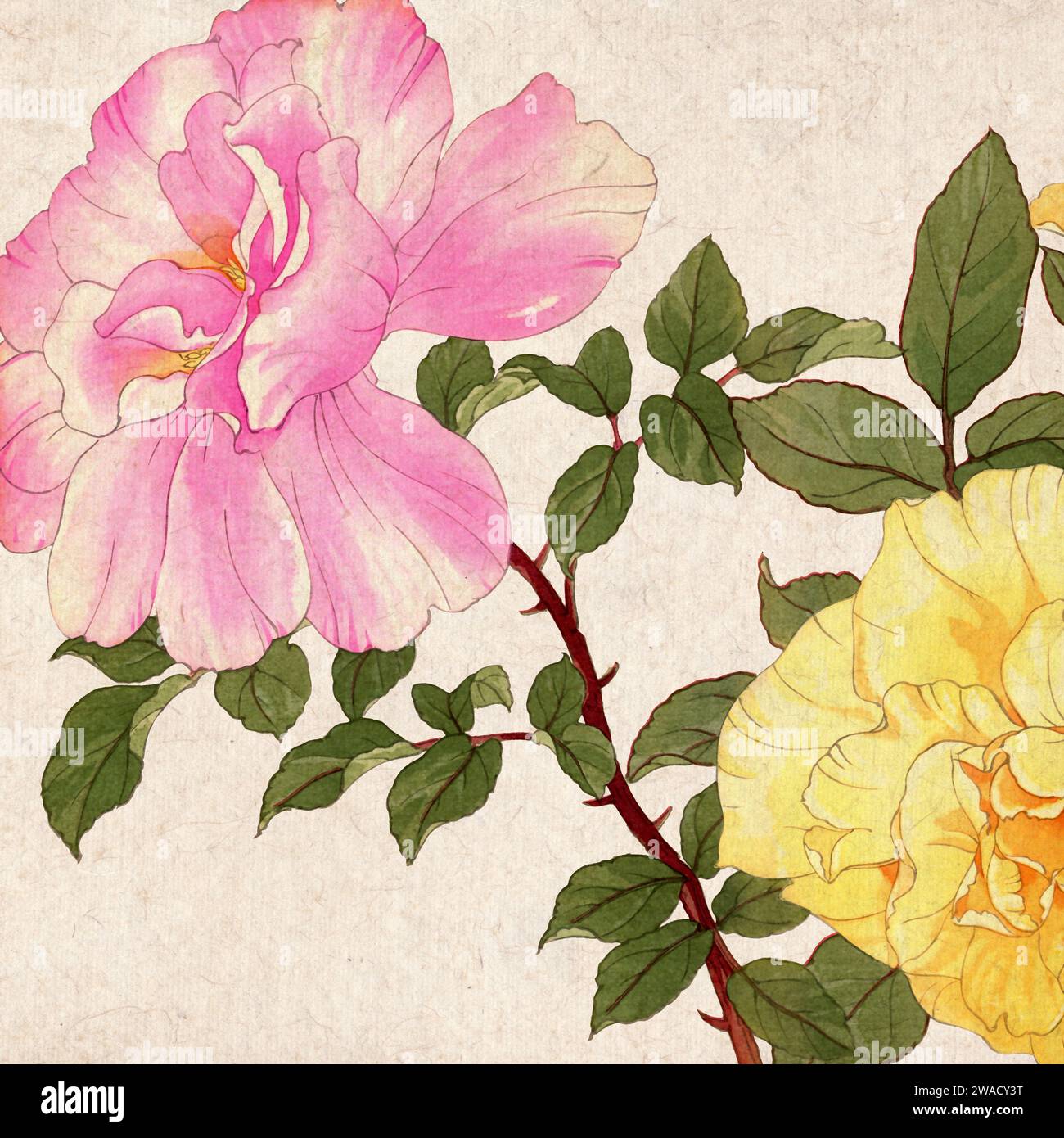 Digital floral design featuring a lively color palette on textured ...