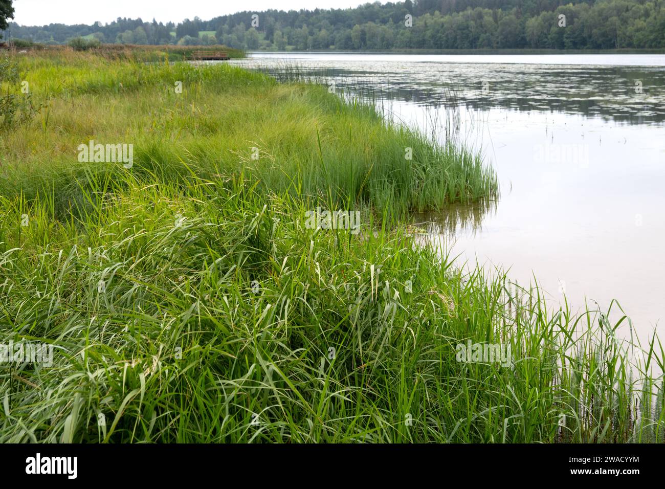 Viljandi jarv hi-res stock photography and images - Alamy