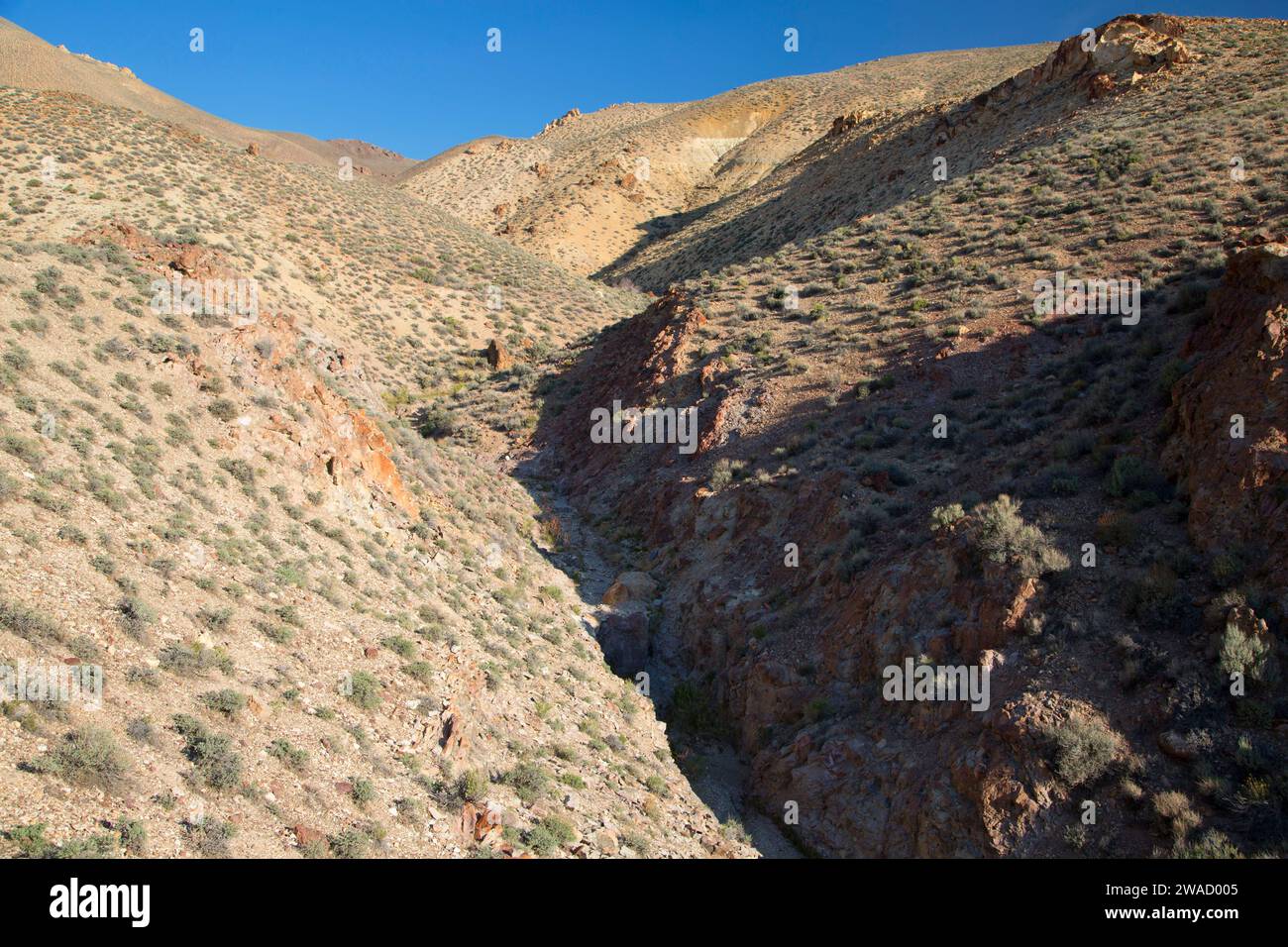 Morman Dan Canyon, Calico Mountains Wilderness, Black Rock Desert High ...