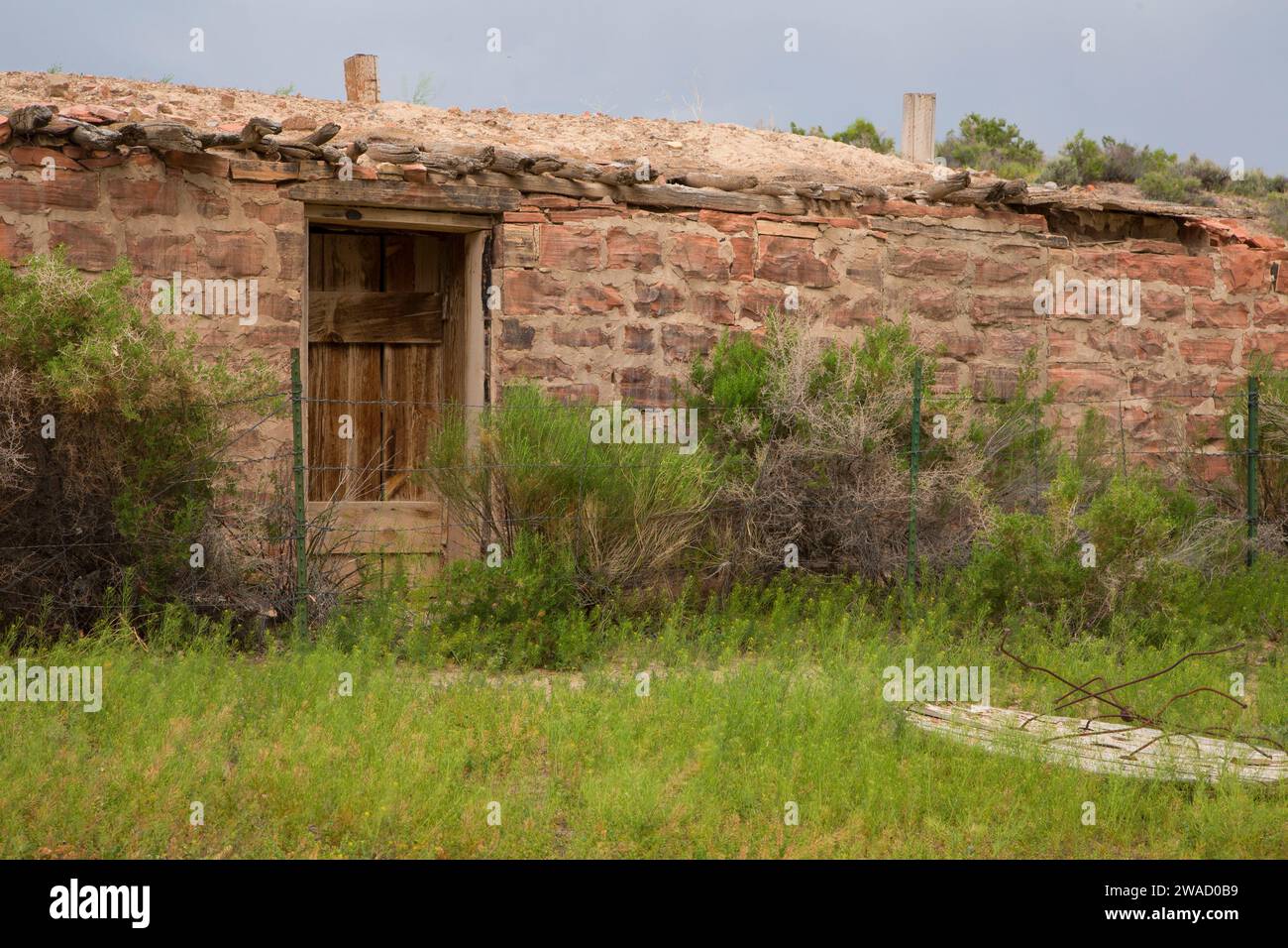 Camp sheldon hi-res stock photography and images - Alamy