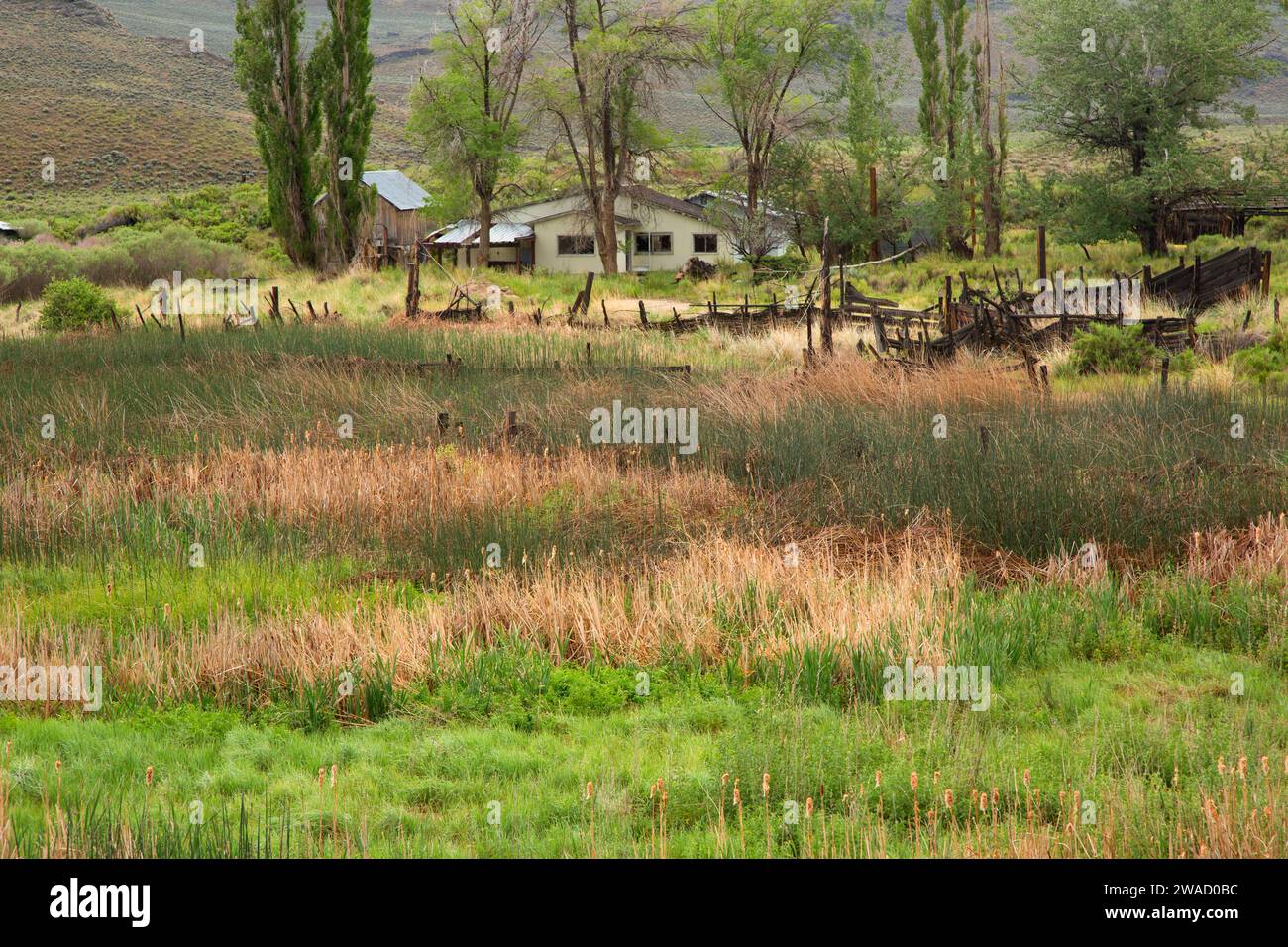 Virgin Valley Ranch, Sheldon National Wildlife Refuge, Nevada Stock ...