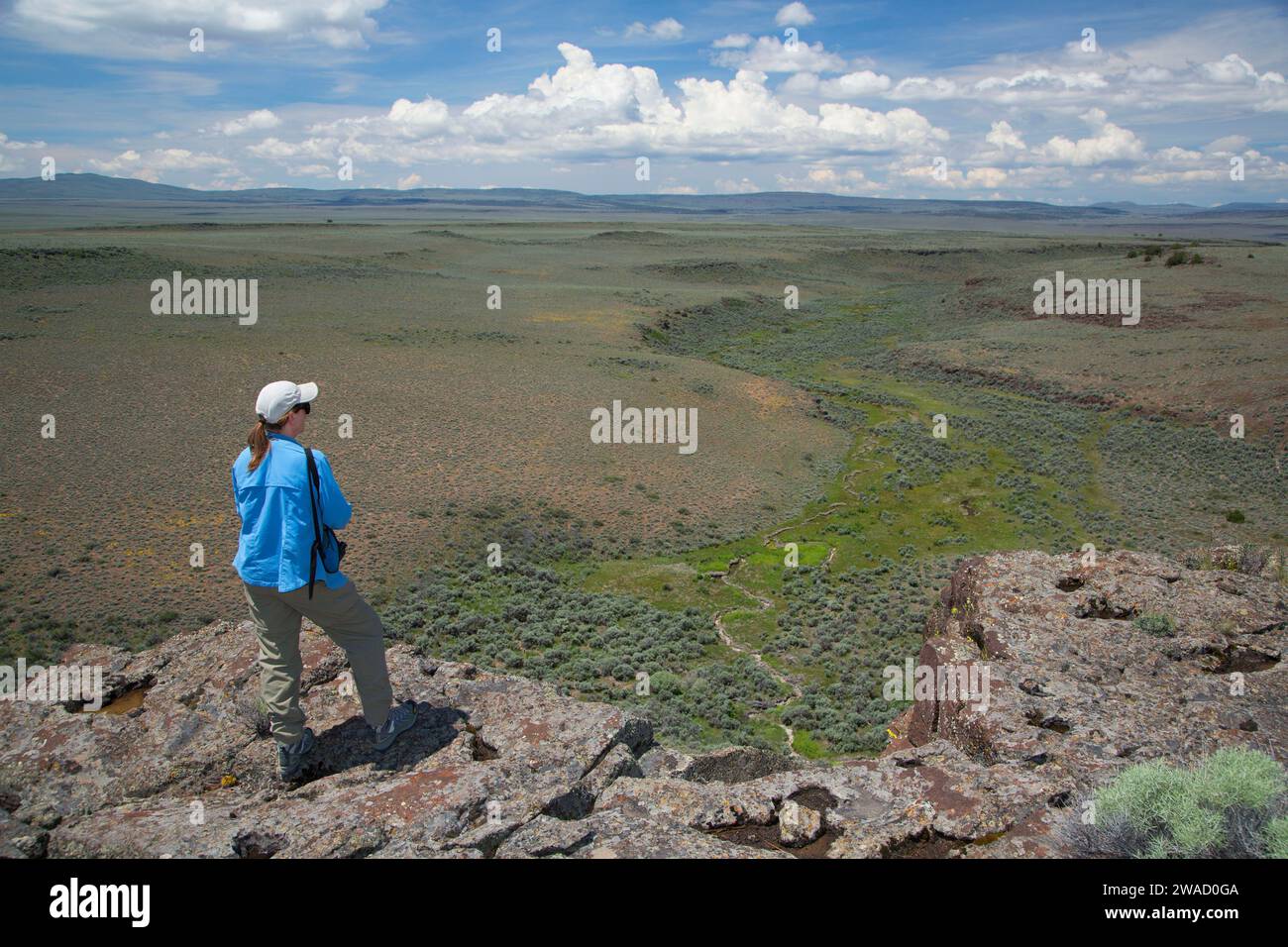 Catnip Canyon, Sheldon National Wildlife Refuge, Nevada Stock Photo - Alamy