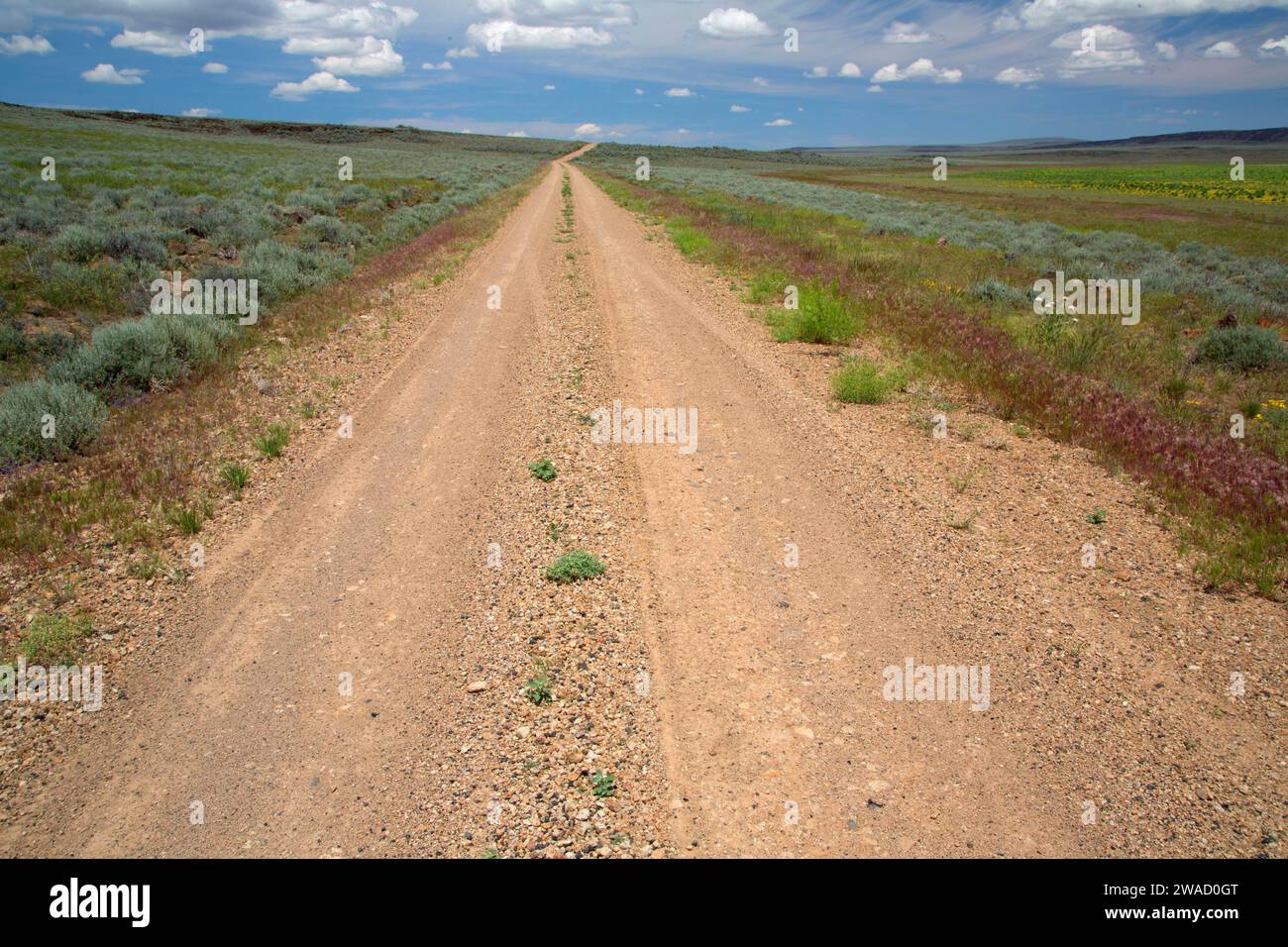Refuge road, Sheldon National Wildlife Refuge, Nevada Stock Photo - Alamy