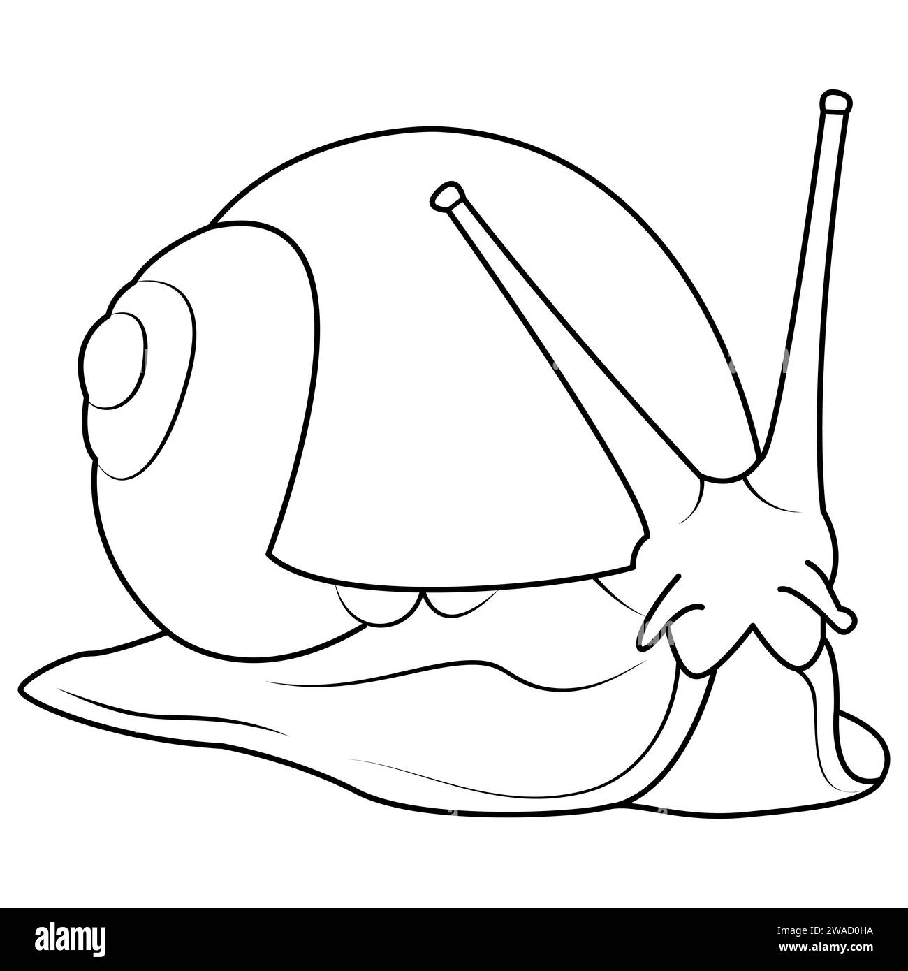 Garden snail line art. Vector elements isolated on white background ...
