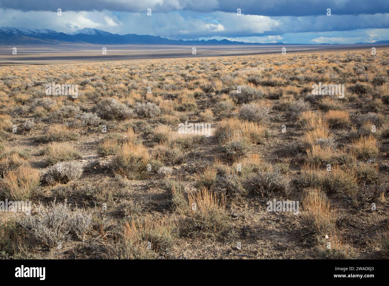 Ione hi-res stock photography and images - Alamy