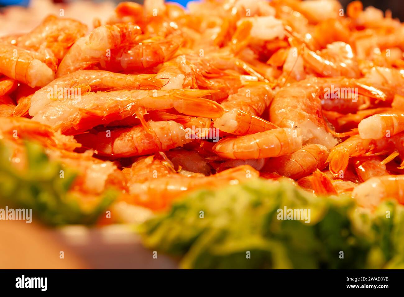 Bright orange fresh prawn in display in Rialto Markets in Venice Italy ...