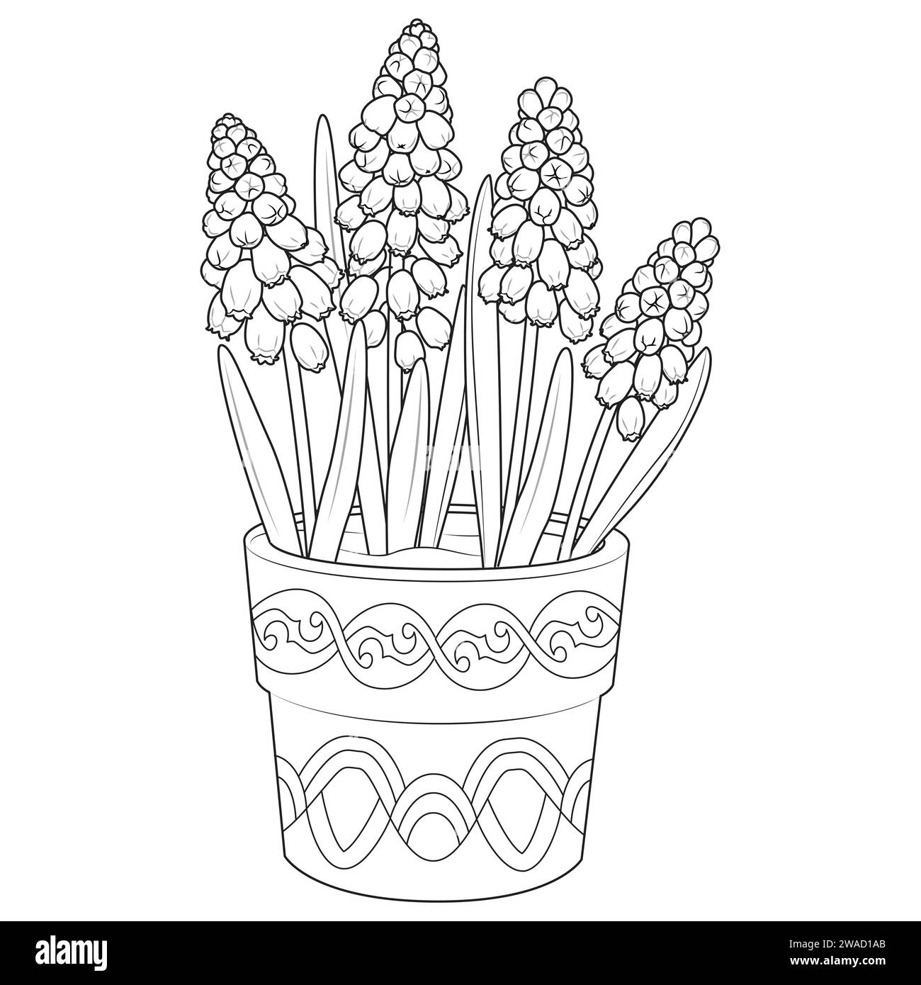 Spring summer collection 2024 Stock Vector Images - Alamy