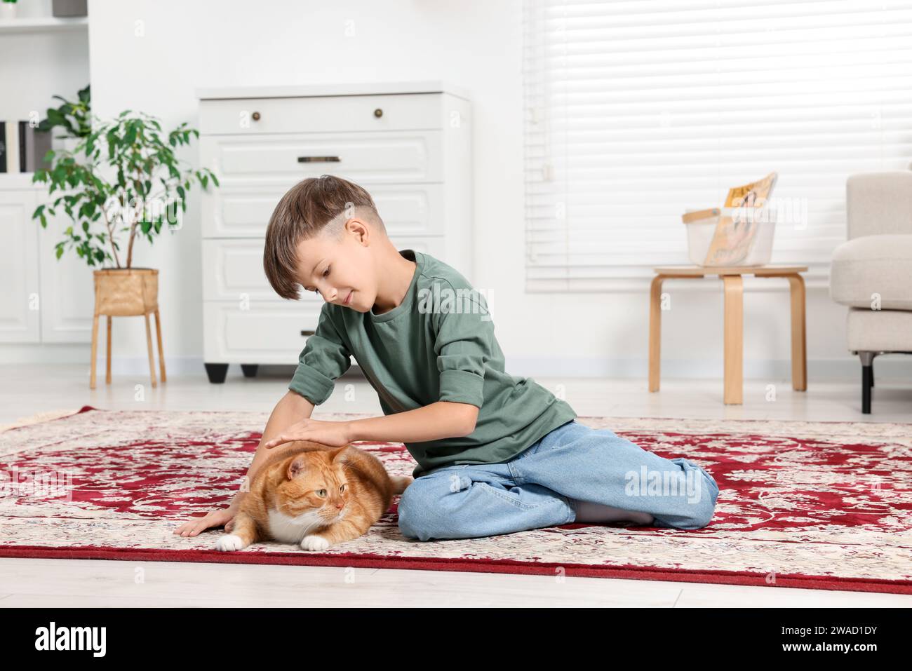 Boy stroking petting cat hi-res stock photography and images - Alamy