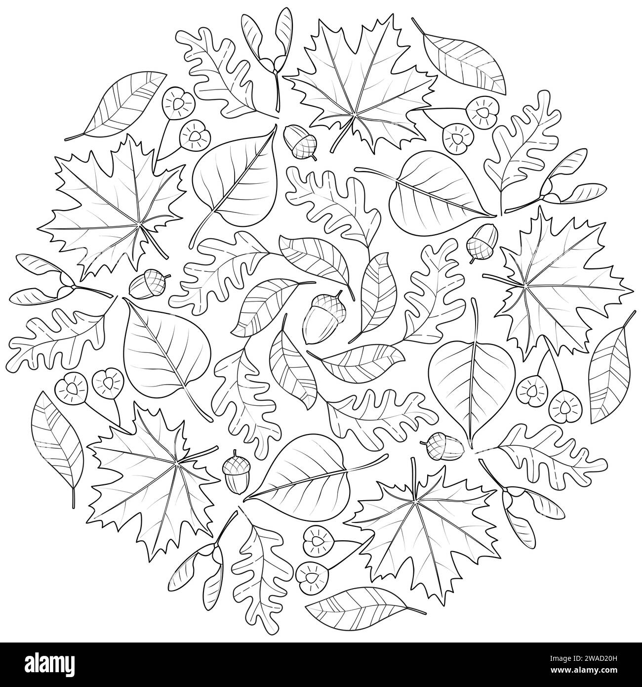 Autumn mandala with autumn leaves on white background. Coloring page ...