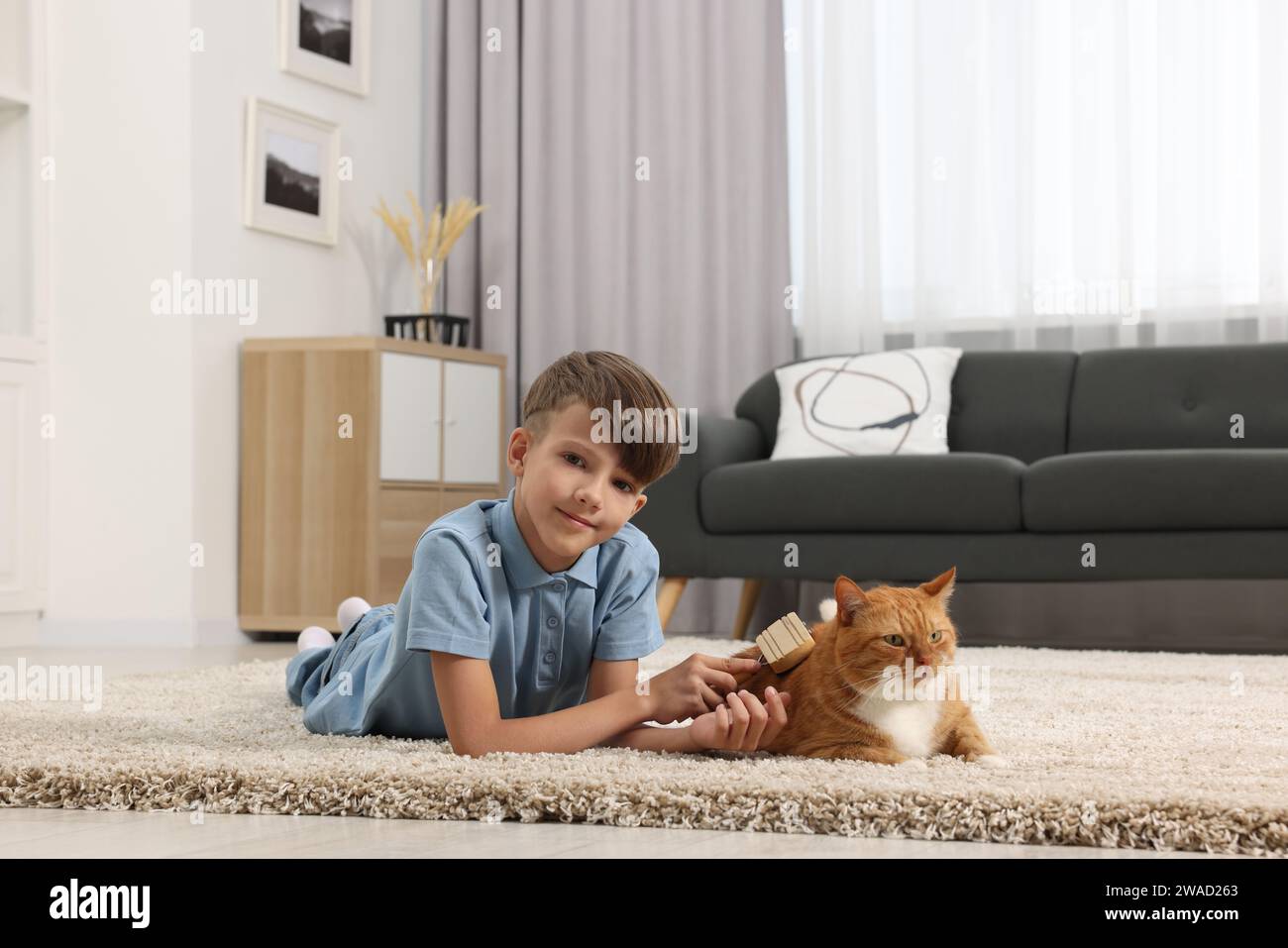 Boy brushing pet hi-res stock photography and images - Alamy
