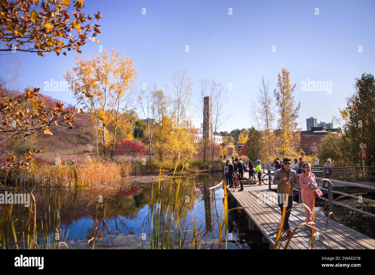 Toronto, Canada - 10 23 2022: Visitors contemplating autumn beauty of ...