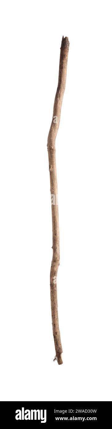 One old wooden stick isolated on white Stock Photo - Alamy