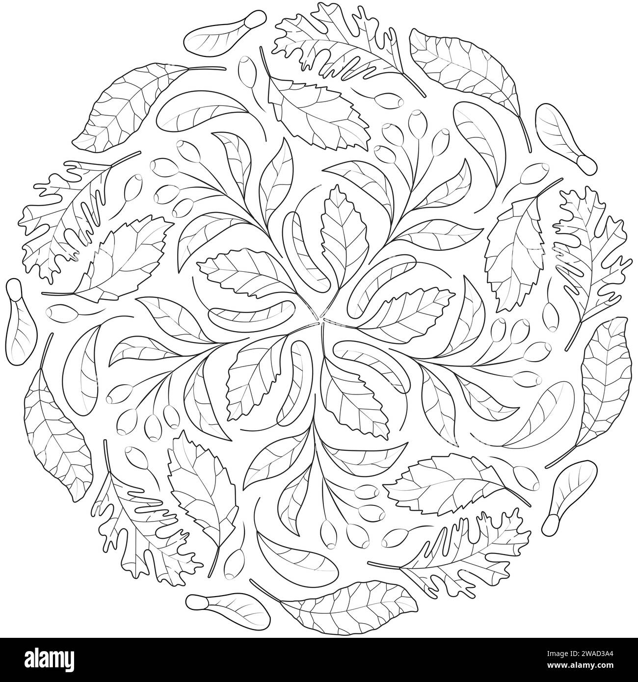 Autumn mandala with autumn leaves on white background. Coloring page ...