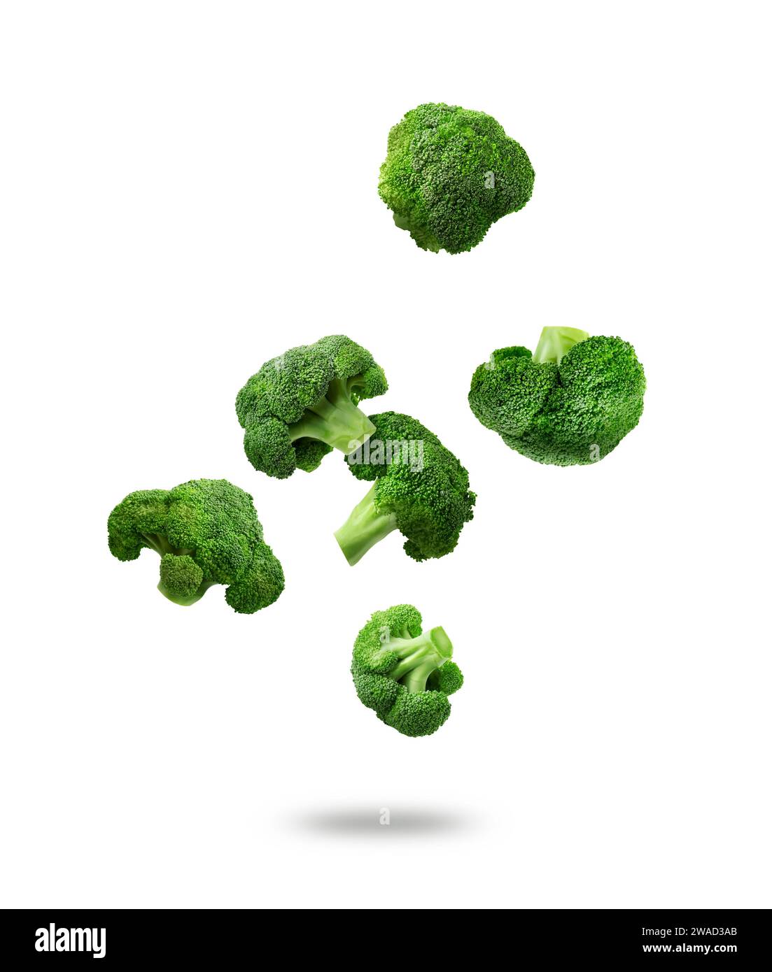 Fresh green broccoli falling on white background Stock Photo - Alamy