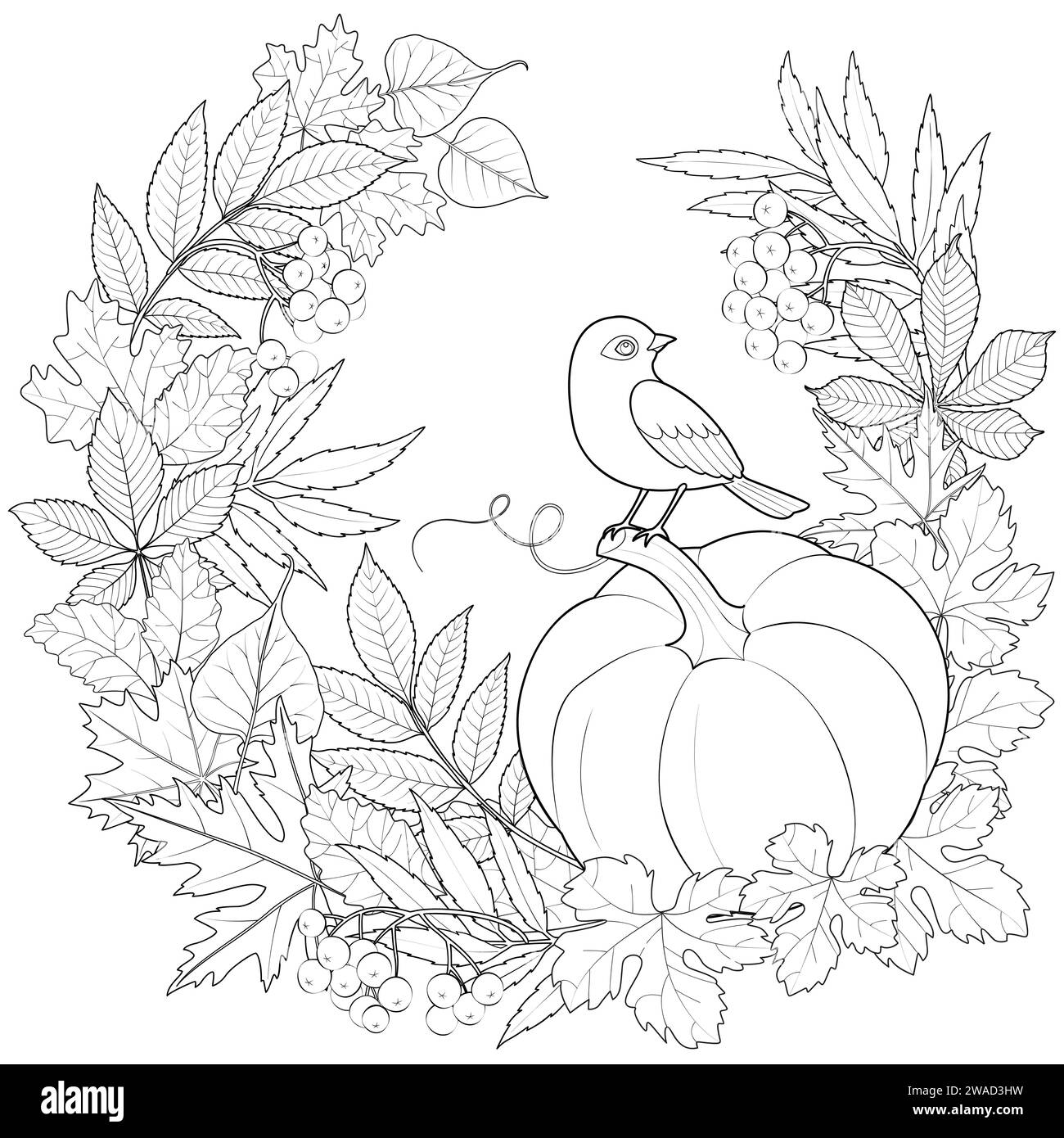 Bird on a pumpkin in a wreath of autumn leaves black and white vector ...